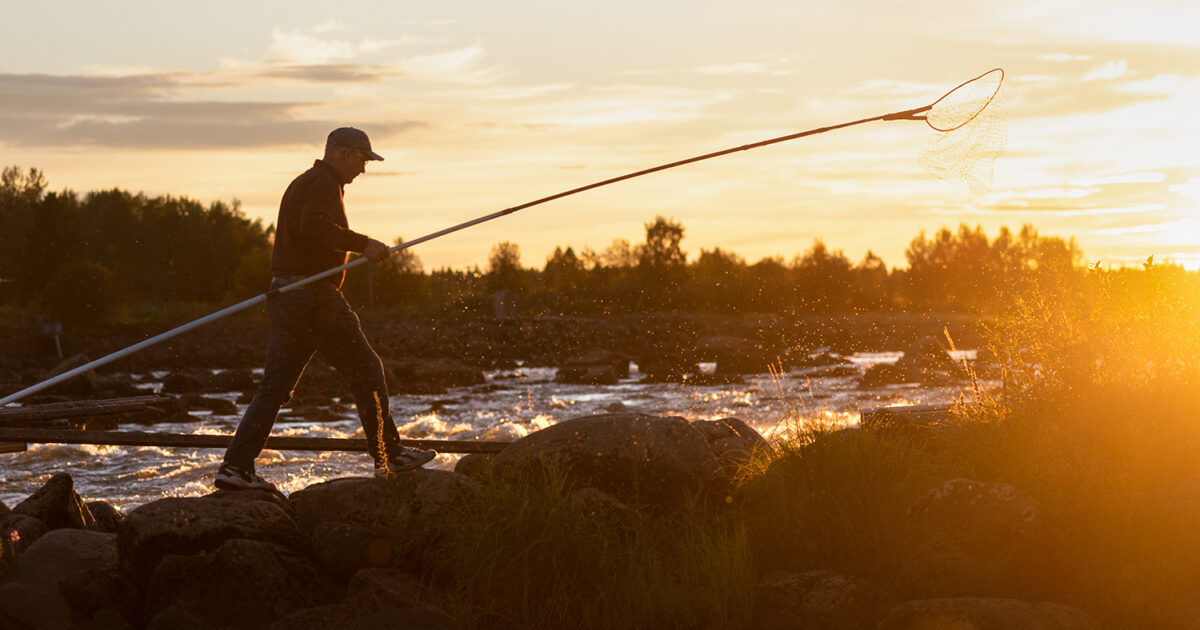 Torne Valley Dipnet Culture -project - Tornio
